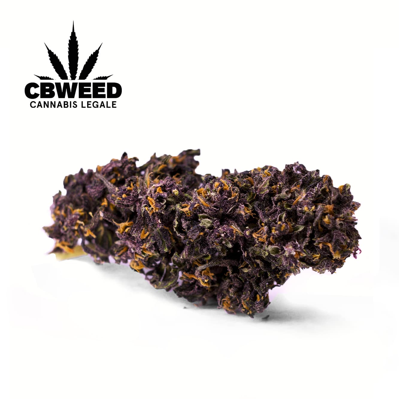 Cannabis Light Cbweed Deep Purple CBD 2g EU - CBWEED
